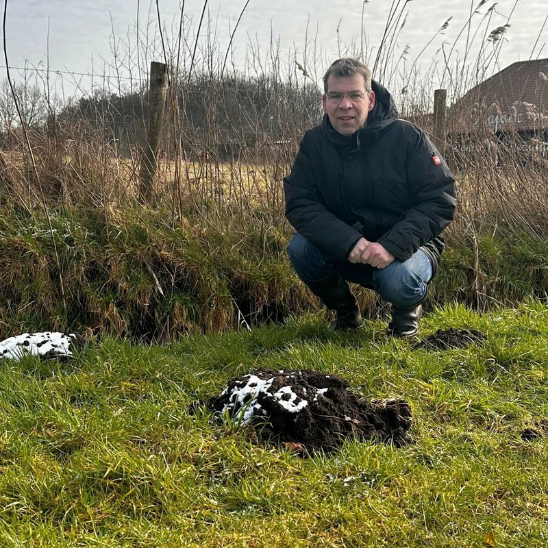 Een hoop mollen geteld, maar toch lijkt de populatie het moeilijk te ...