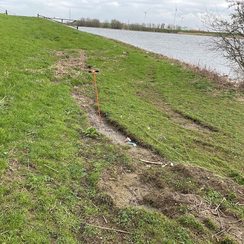 Dijkinspectie waterschap Drents Overijsselse Delta brengt goed nieuws ...