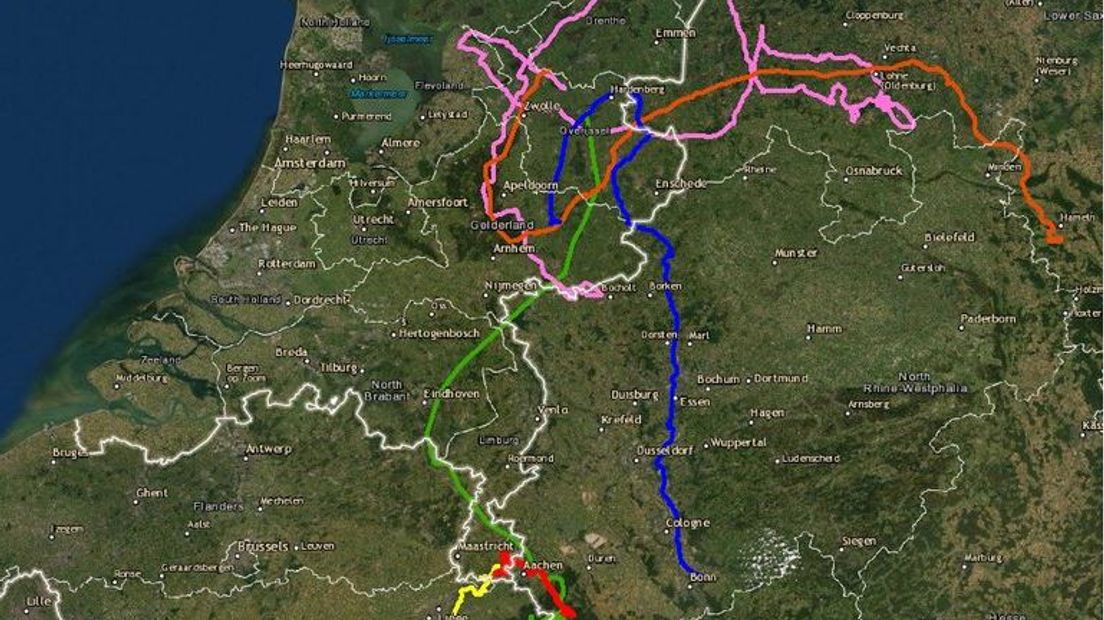 Jonge rode wouwen op de voet gevolgd - RTV Drenthe