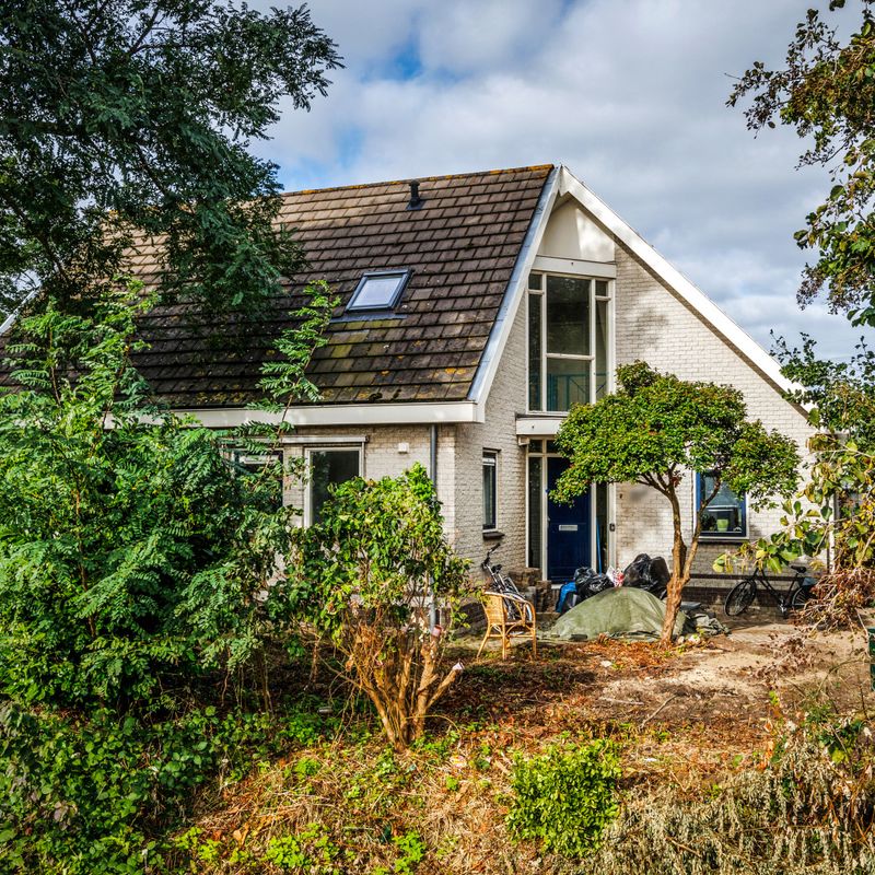 Dode vrouw (32) gevonden in woning, partner opgepakt - Omroep West