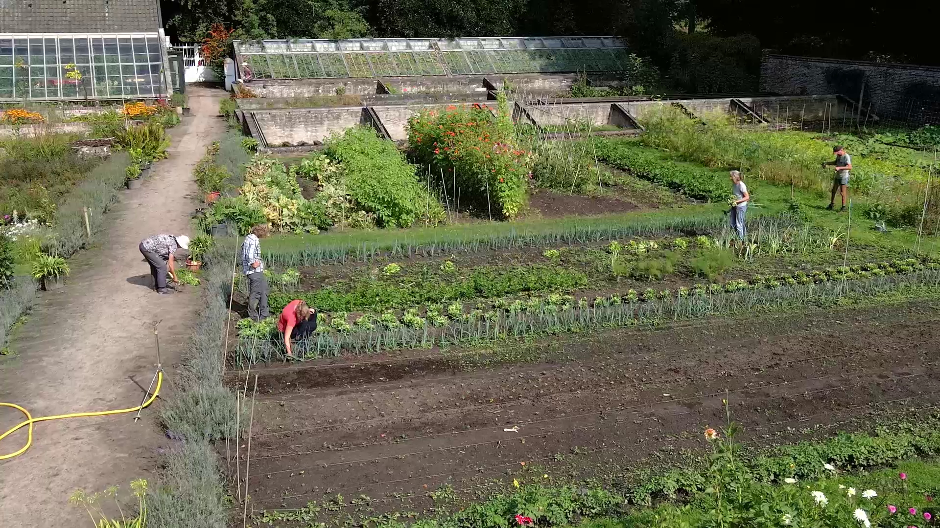 Historische Moestuinen - Winter op Vollenhoven - 17-10-2023 - RTV Utrecht