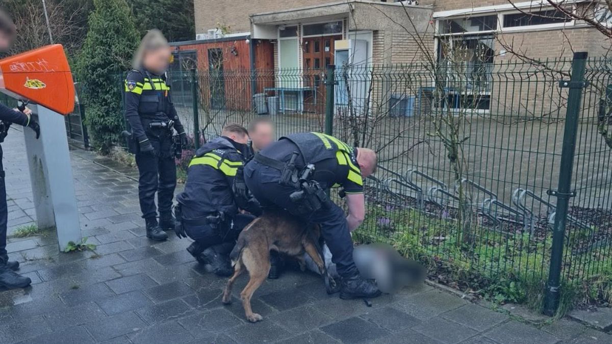 Agressieve man gooit met mes naar agenten - Rijnmond