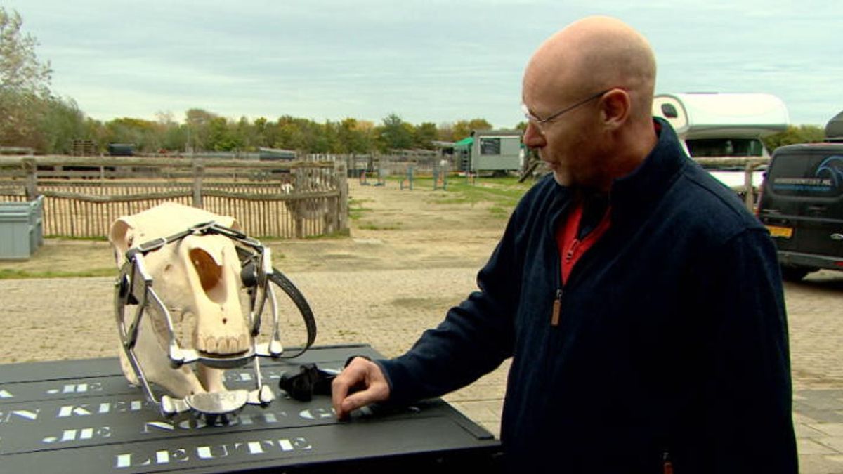 Paul Minnaar reist het hele land door om gebitten te controleren ...