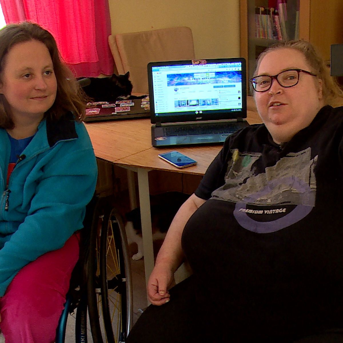 Iedere dag zegt Erica: 'Welkom bij de nieuwe vlog van de Kattenbende ...