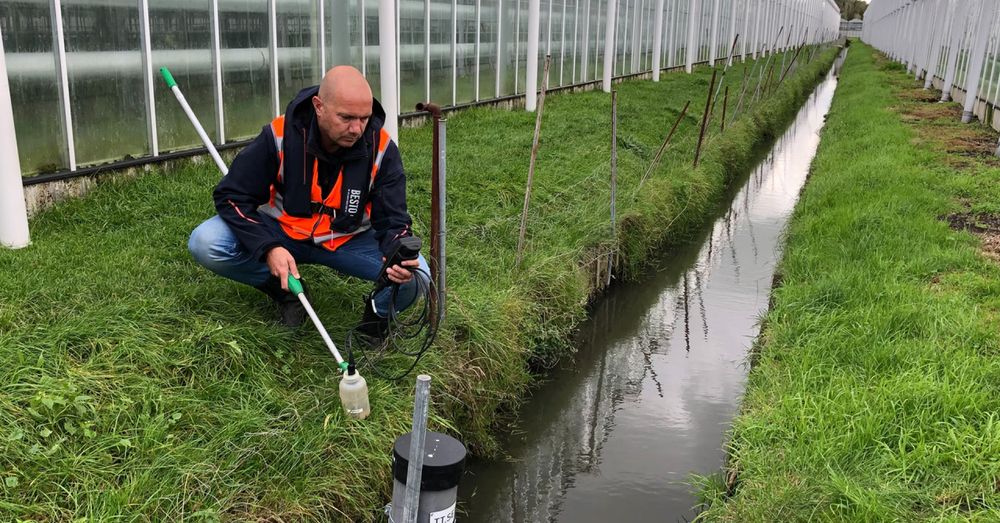 Tuinder bij Den Hoorn krijgt recorddwangsom van 100.000 euro voor ...