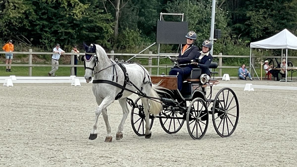 Paramenner Ingmar Veneman ment met één hand naar dressuur-brons bij WK ...