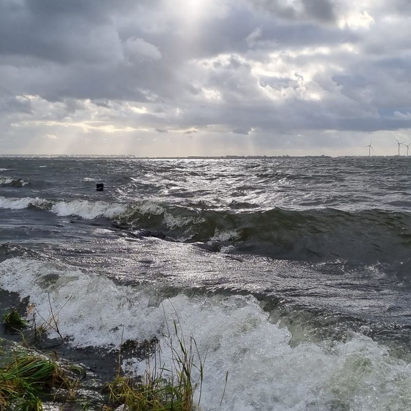 Het wordt kouder: zware windstoten, hagel en onweer, de winter komt eraan - Rijnmond