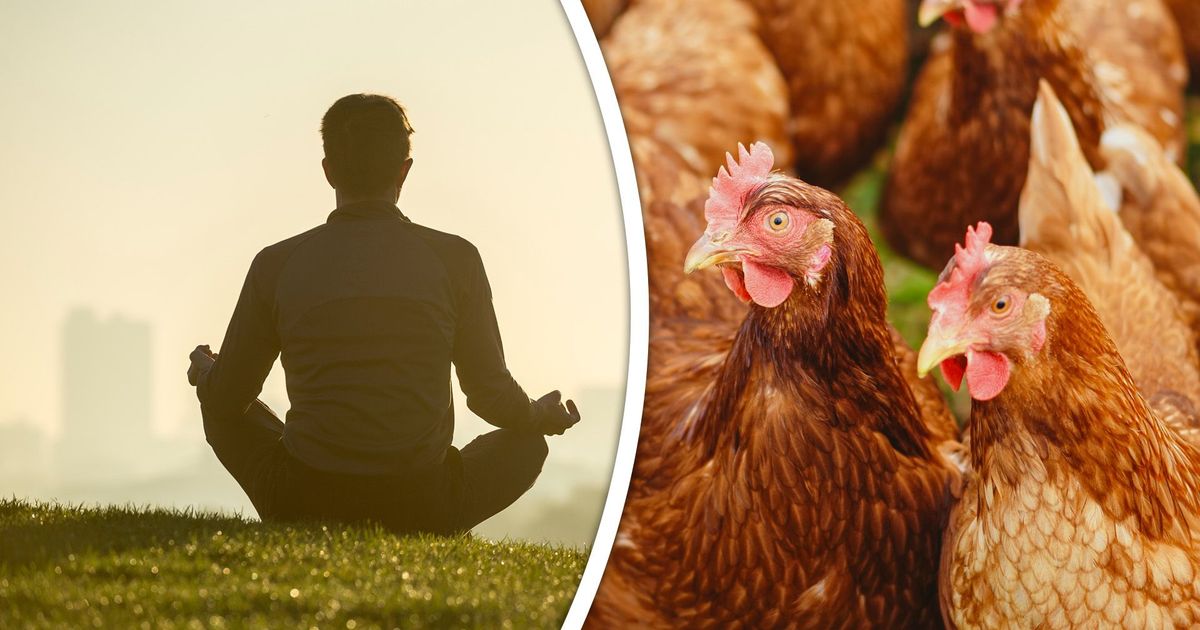 Jesse (20) wil gruwelijke dingen met zijn vader en zijn oma doen, dat ...