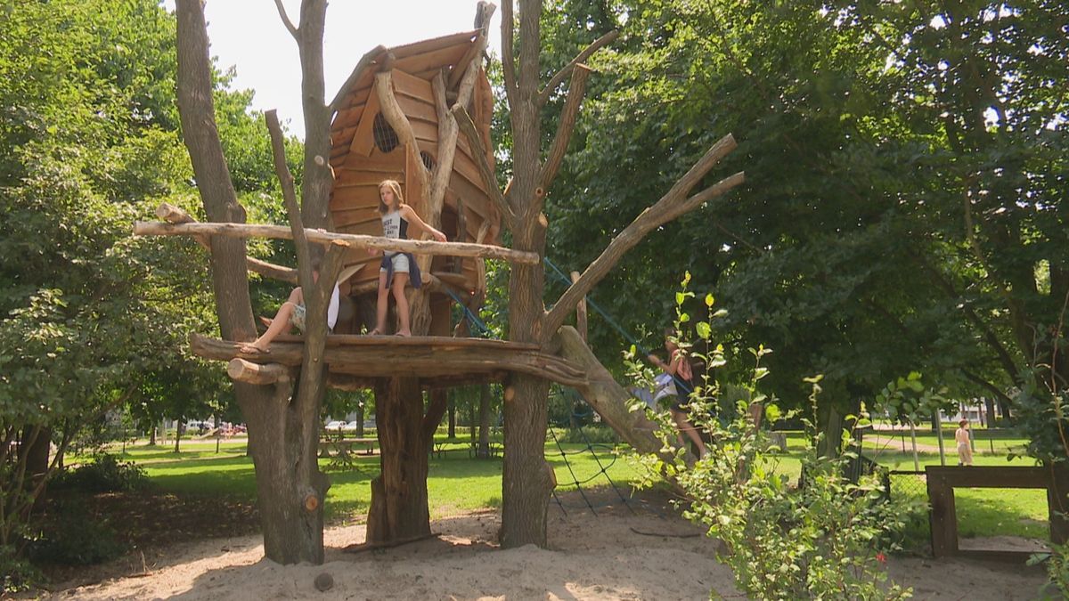 Vrije School in Zwolle gunt ieder kind een groen schoolplein - Oost