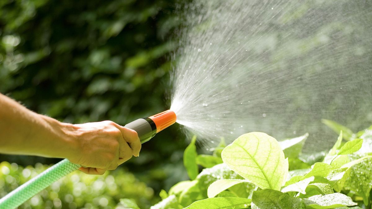 Feitelijk watertekort in hele land, maar "de kraan blijft aan" - Omrop ...