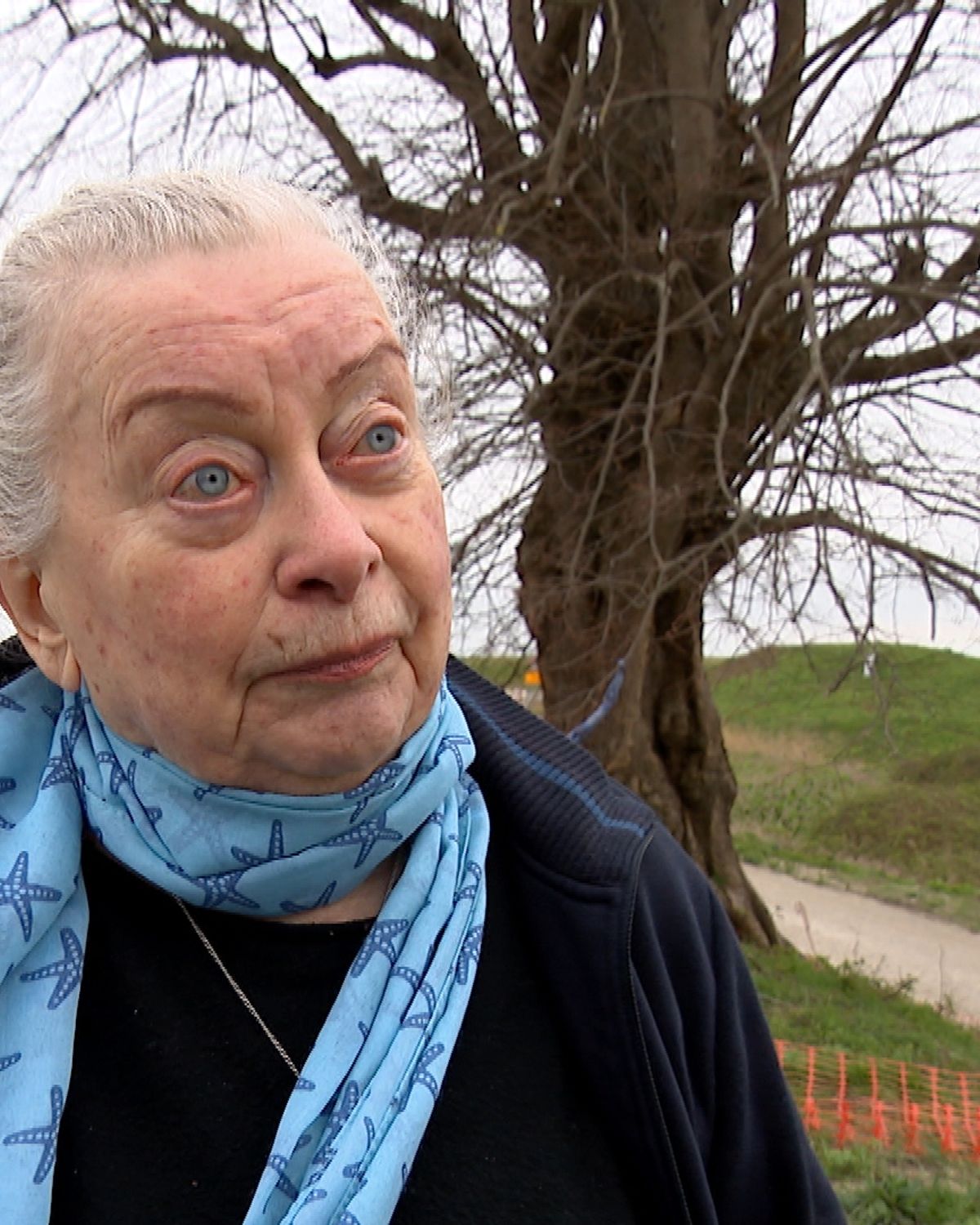 Beatrix (88) vecht voor boom die ze nog nooit gezien heeft: 'Doe ...