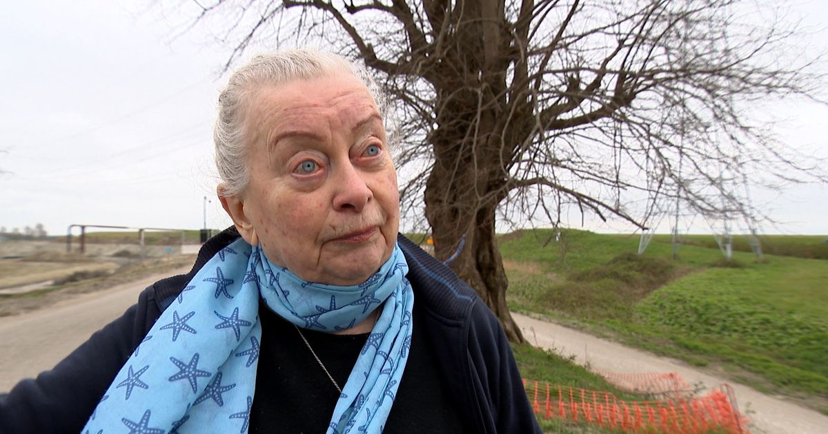 Beatrix (88) vecht voor boom die ze nog nooit gezien heeft: 'Doe ...
