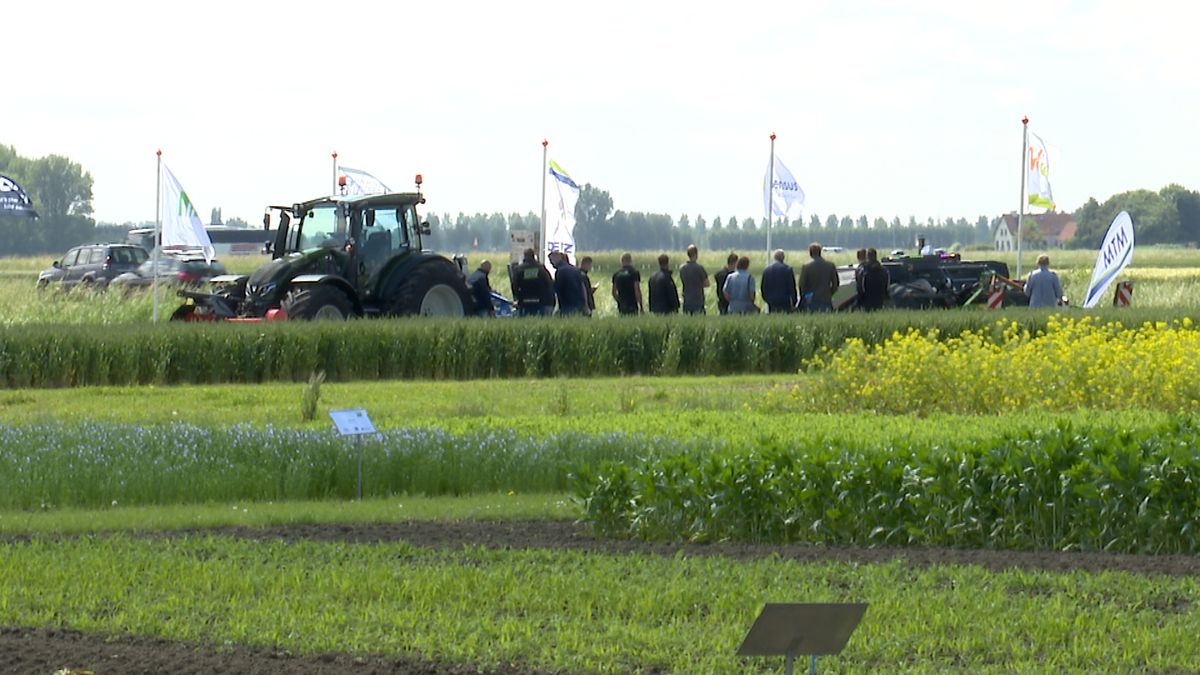 Open Dag voor boeren geeft houvast voor de toekomst - Omroep Zeeland