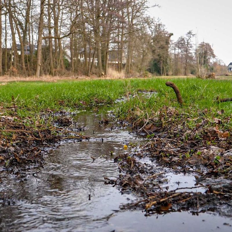 Landschap Overijssel pleit voor langer vasthouden van water in beken - Oost