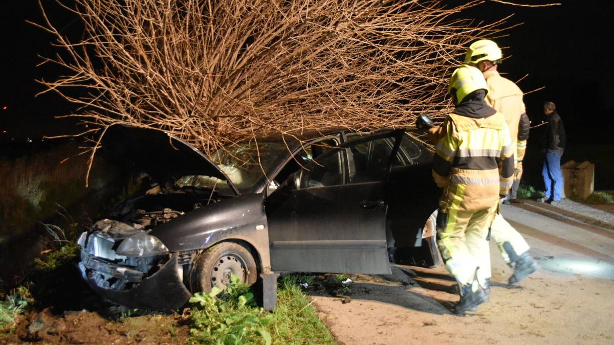 55 kilo vuurwerk bij grenscontrole • auto tegen boom - Omroep Gelderland