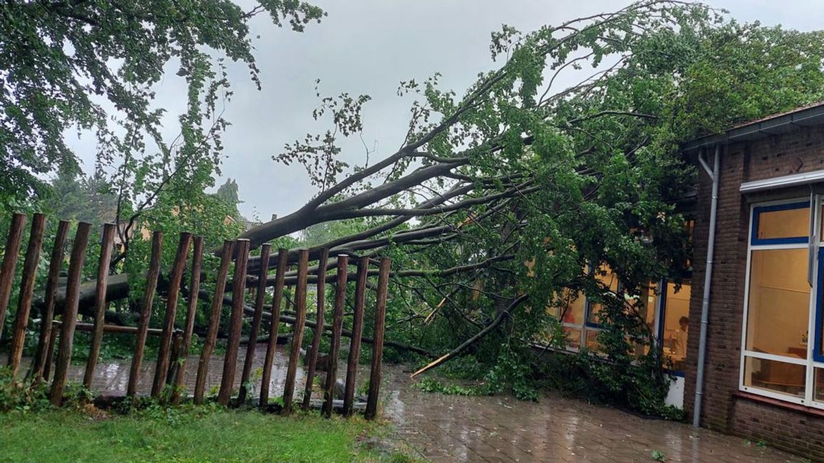 Deze schade veroorzaakte storm Poly in Gelderland - Omroep Gelderland