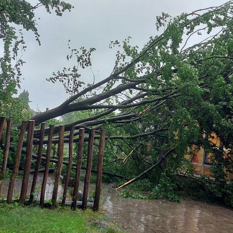 Deze schade veroorzaakte storm Poly in Gelderland - Omroep Gelderland