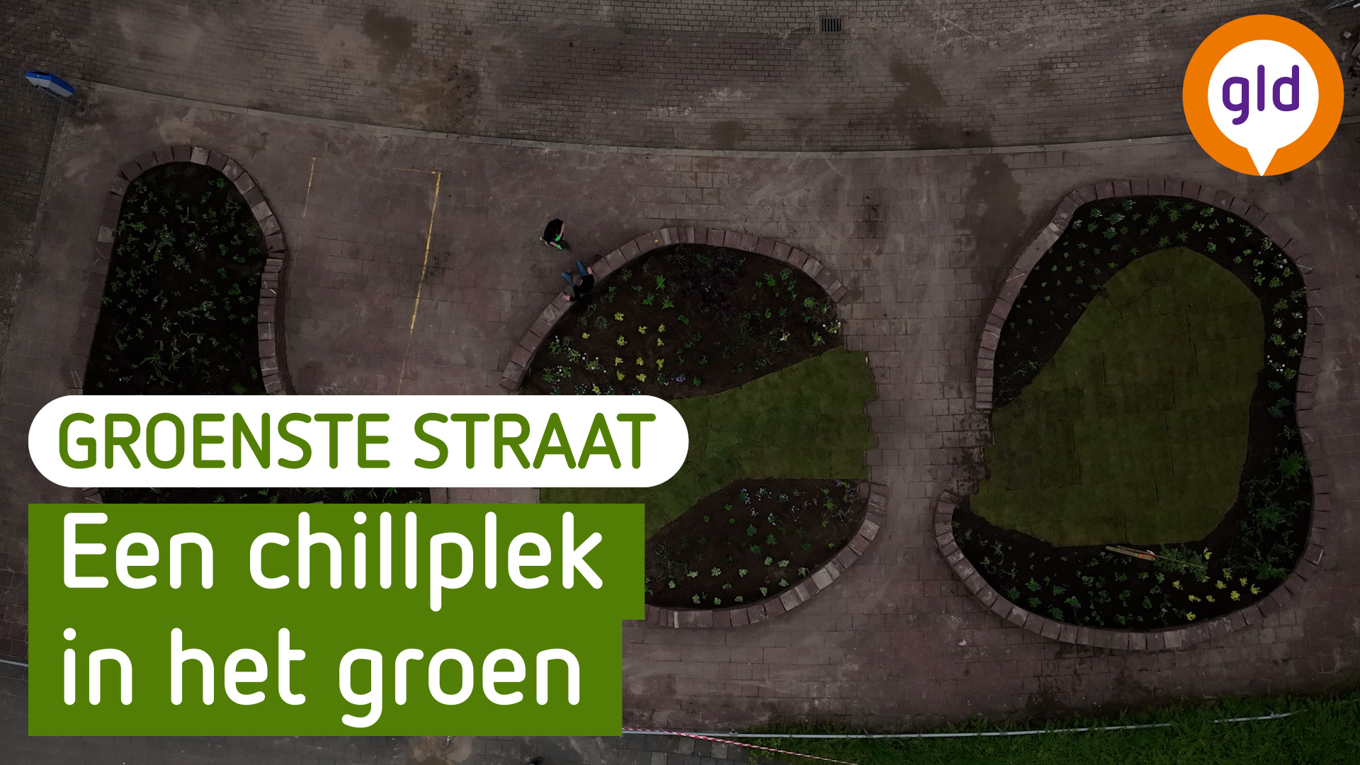 De Groenste Straat van Gelderland - Candea college Duiven - Omroep ...