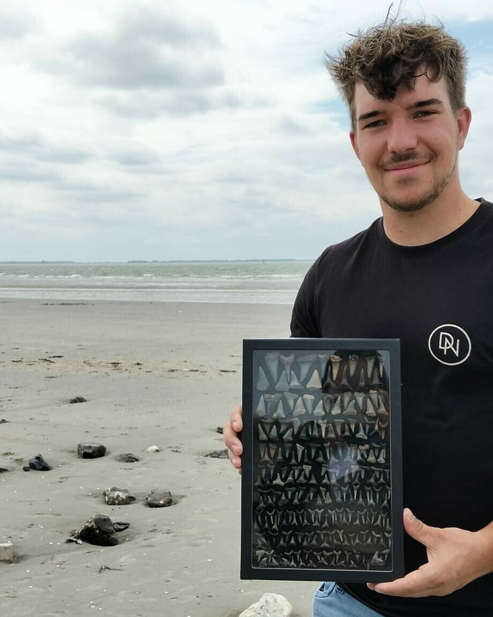 Op jacht naar haaientanden: een stille rage aan de Zeeuwse kust ...