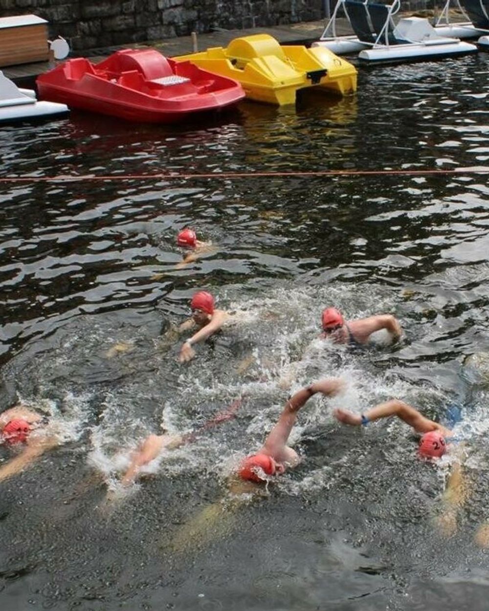 Loots wint 10km bij ONK openwaterzwemmen in Sluis, Kloet knokt zich ...