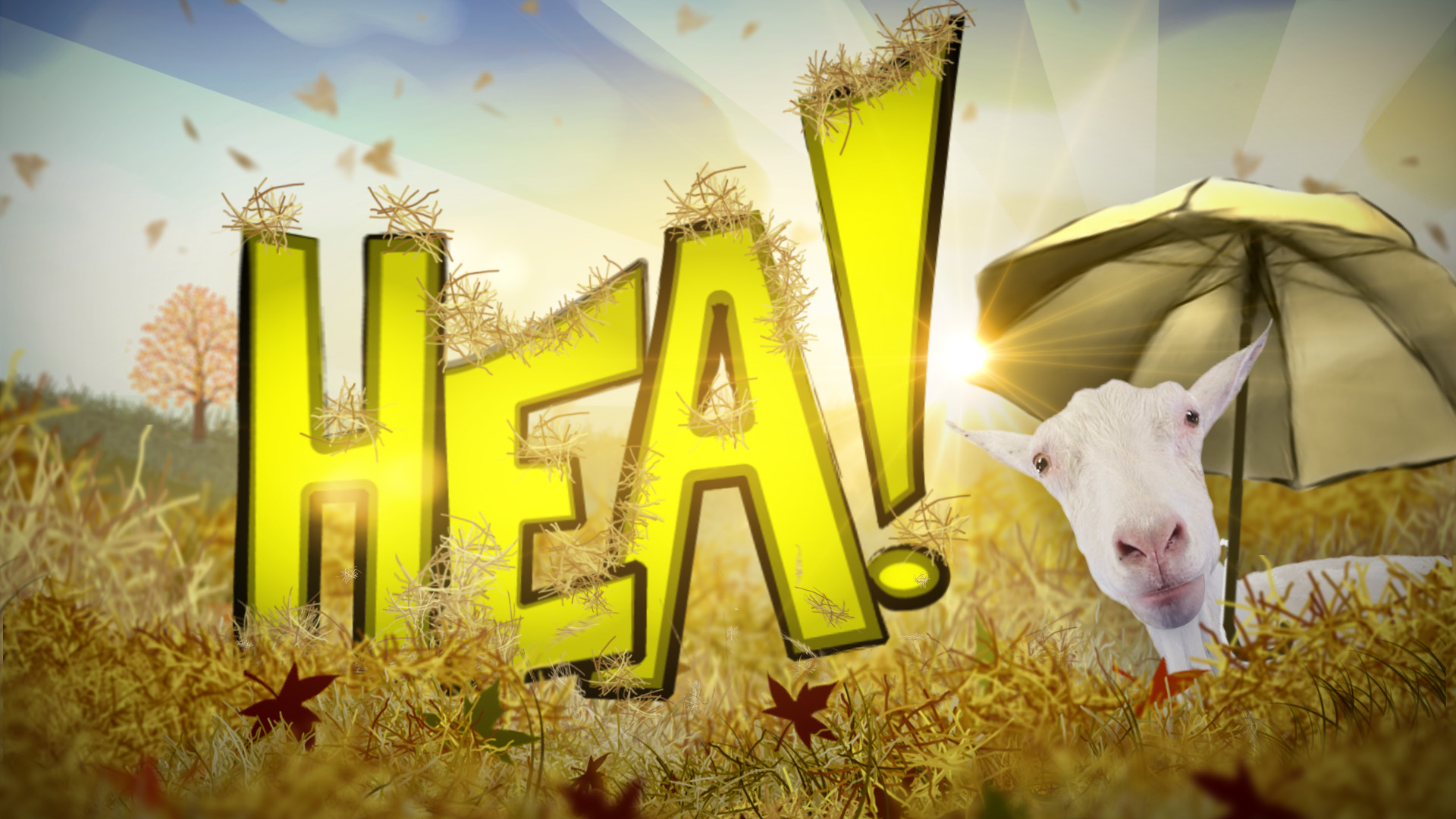 HEA! - Omrop Fryslân