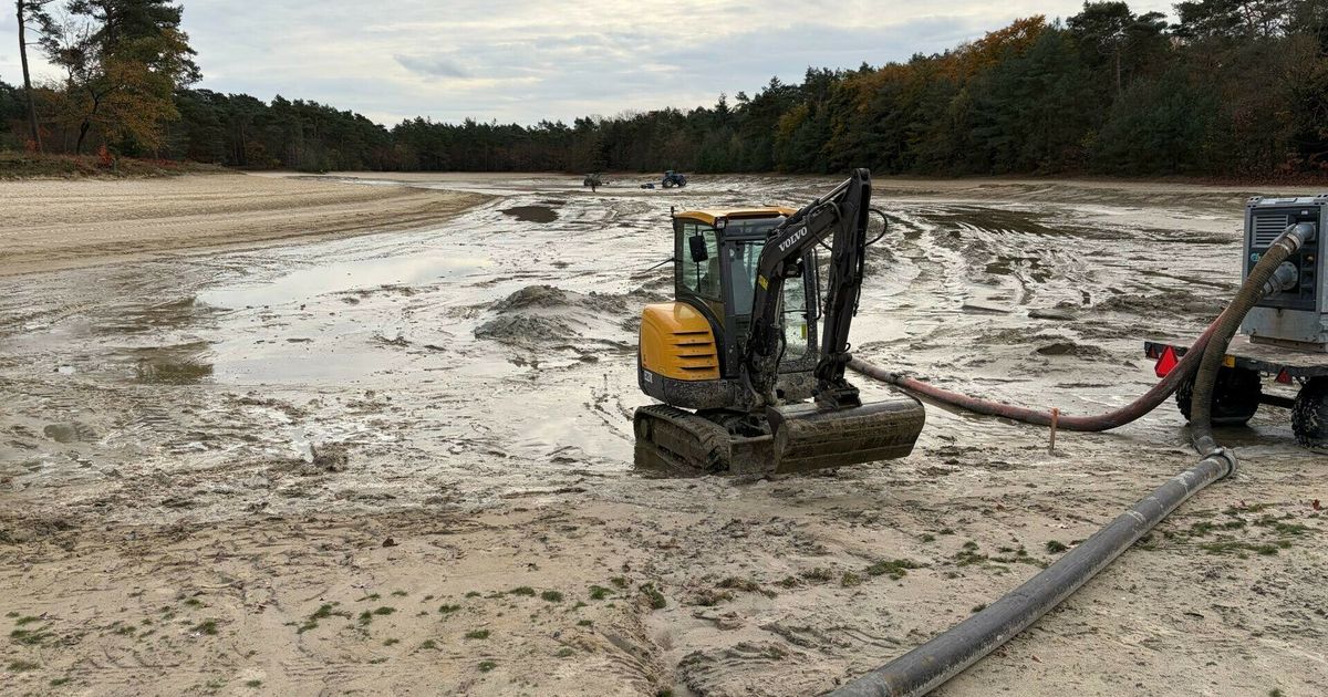 Staatsbosbeheer gaat bodem van Kibbelkoele schrobben: 'Het is allemaal ...