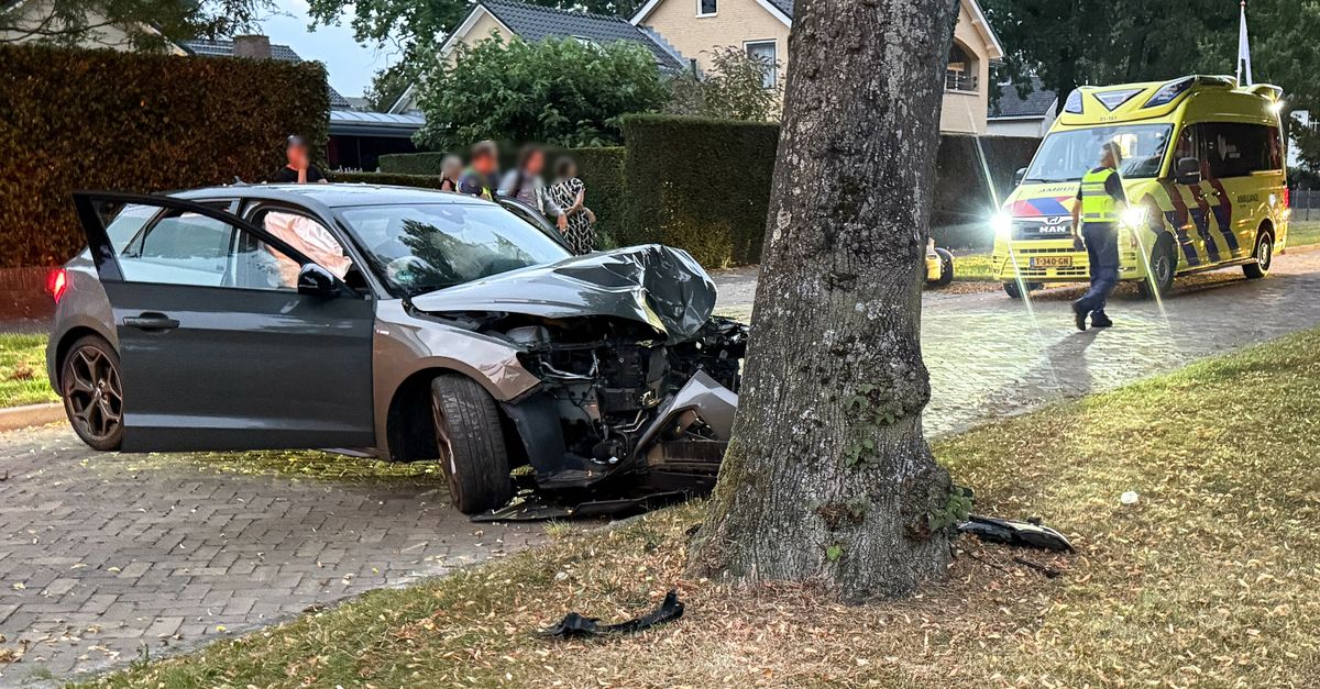 Auto botst tegen boom in Hoogeveen, bestuurder naar ziekenhuis - RTV Drenthe