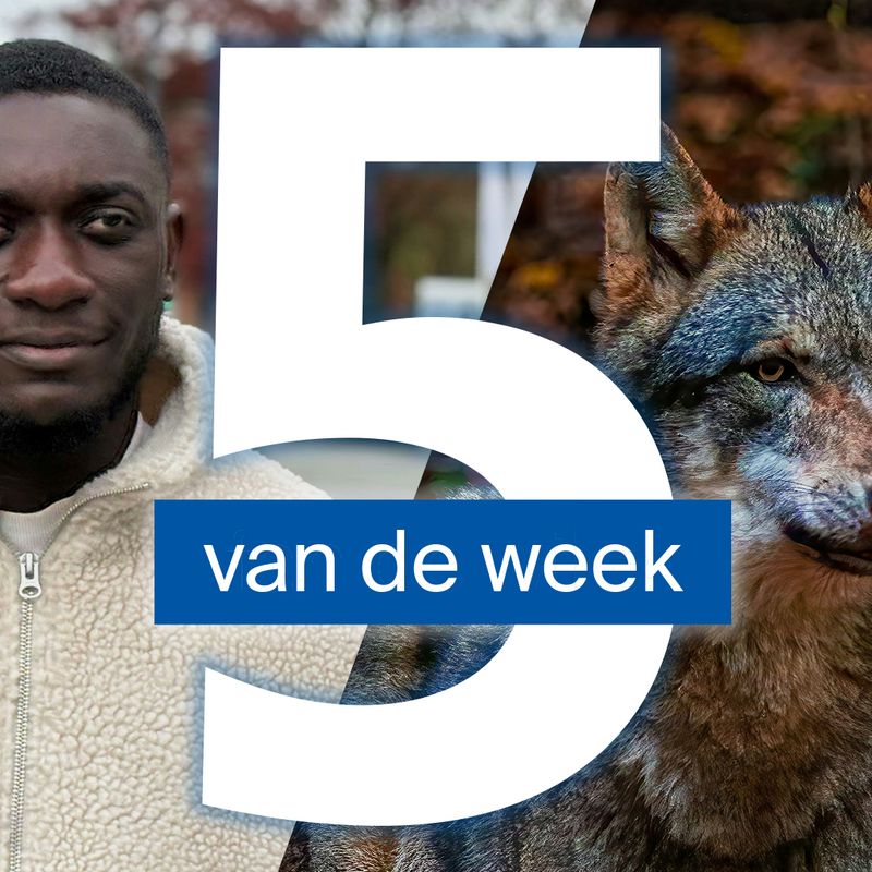 Dokter Aaron vindt hier geen baan, en wie wordt de nieuwe gastheer van ...