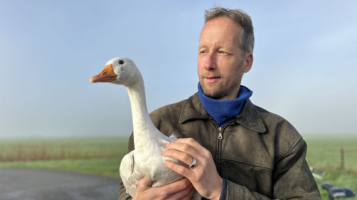 Een bijzondere vriendschap tussen mens en gans: Marthein Plat en Gurbe ...