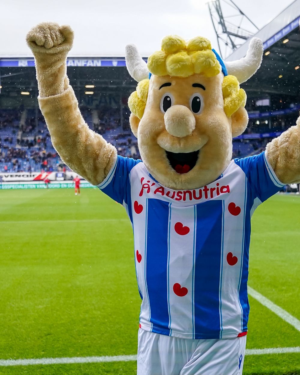 Dizze man is al 25 jier de Hearrenfean-maskotte Heero - Omrop Fryslân