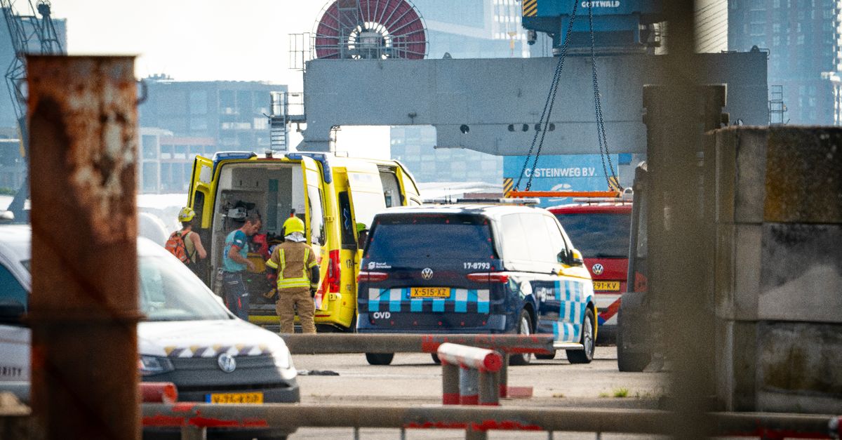 Collega's zwaar aangeslagen na dodelijk havenongeluk, slachtoffers ...