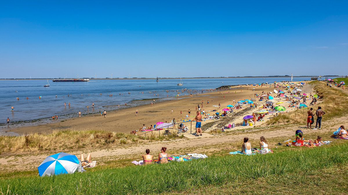 Jongeren met elkaar op de vuist op strandje Wemeldinge - Omroep Zeeland
