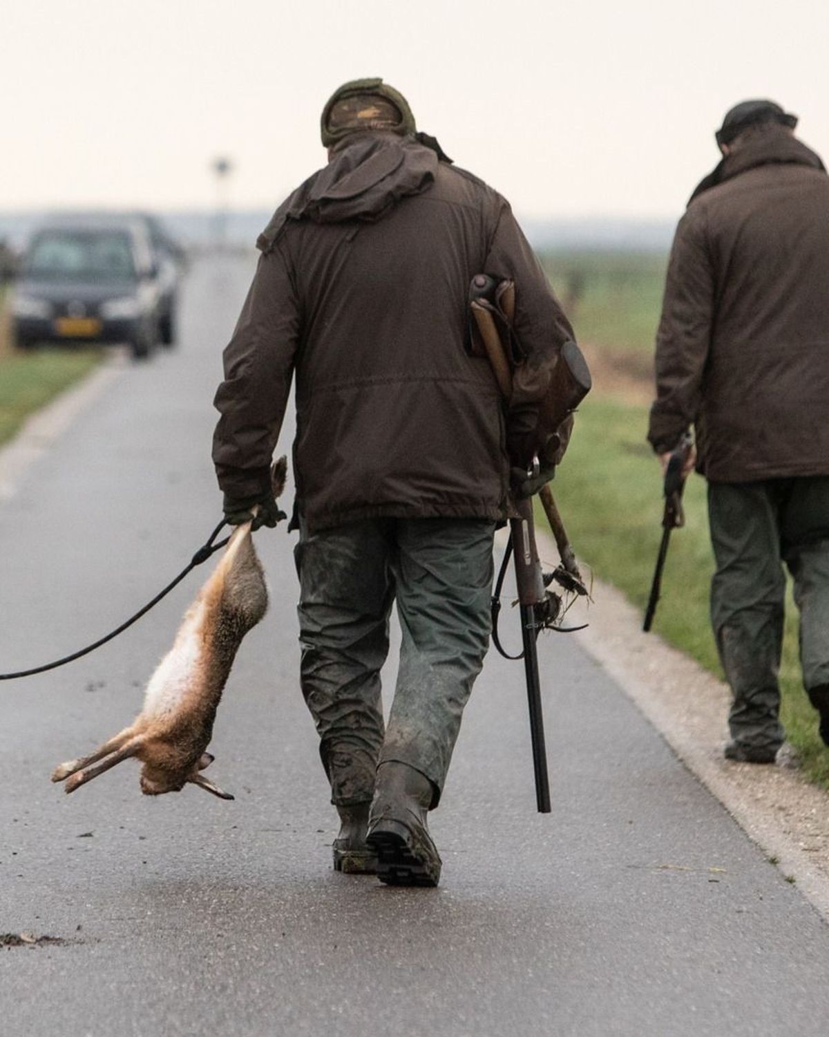 Jacht op wildsoorten voorlopig niet meer toegestaan: Fryslân keurde ...