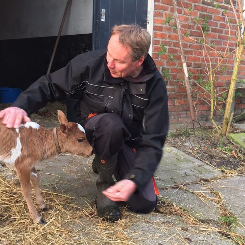 Maak kennis met Lily: een 'kleine verrassing' in Oldekerk - RTV Noord