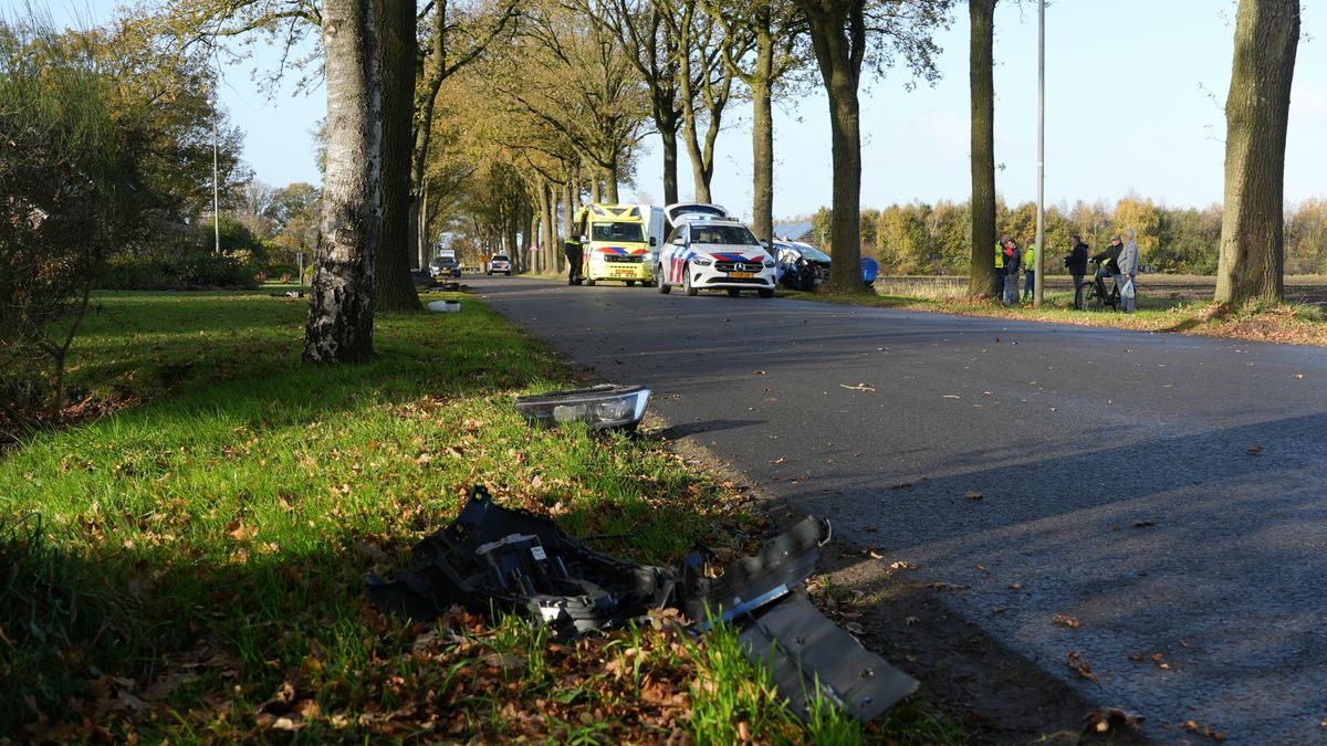 Auto botst op boom in Havelte, bestuurder gewond - RTV Drenthe