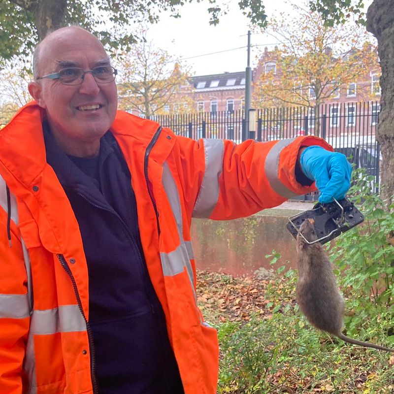 Deze rattenvanger kijkt nergens meer van op: ‘Ratten zijn net als jij ...