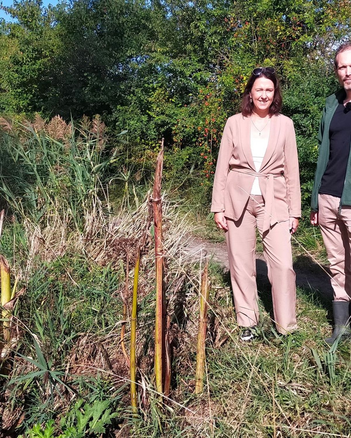 Twee ton voor bestrijding van 'groene monsters' die inheemse soorten ...