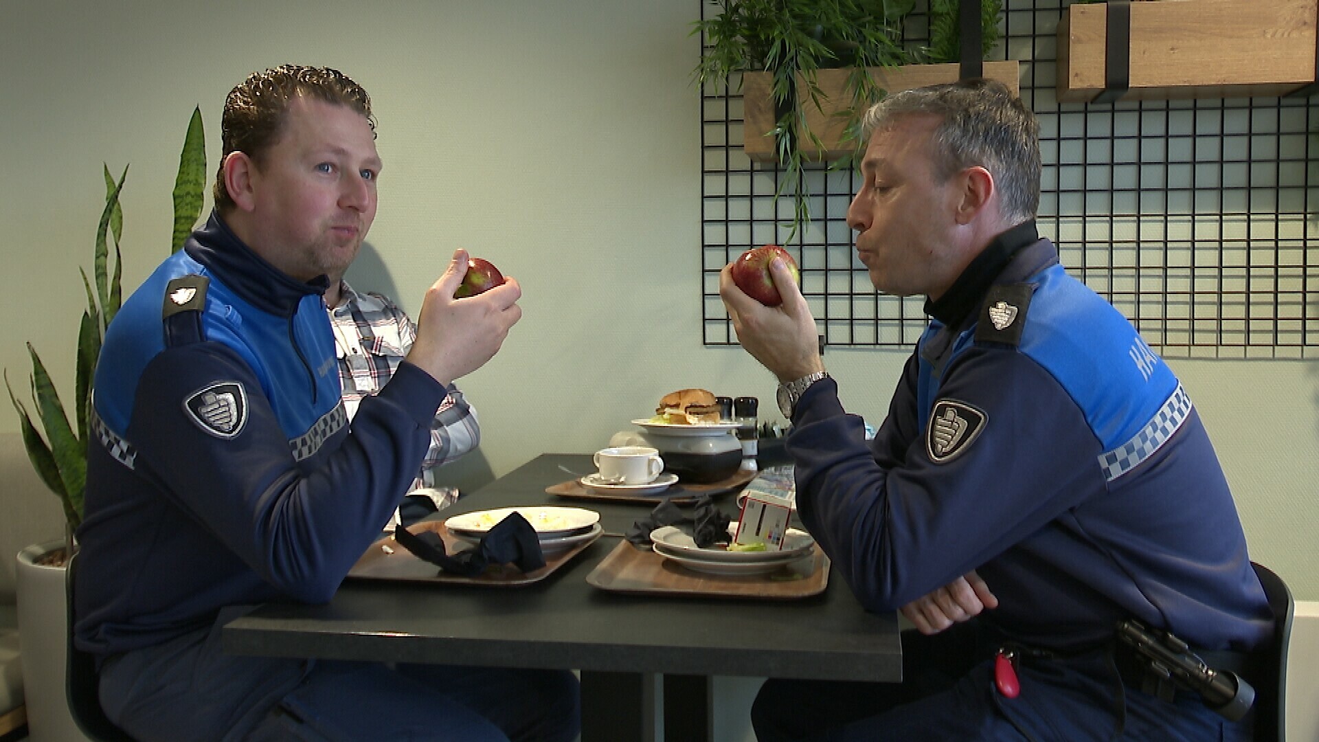 De beste appel van Nederland is bedacht in Krabbendijke - Omroep Zeeland