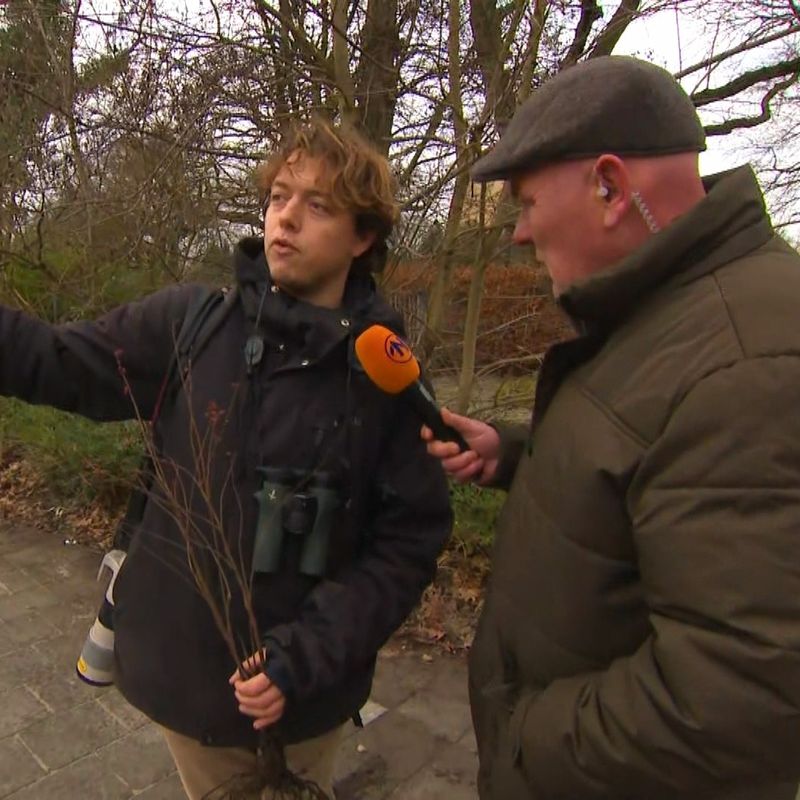 Ecoloog Middelbos woedend over plantenkeuze bij Ring Zuid: 'Je hebt er ...