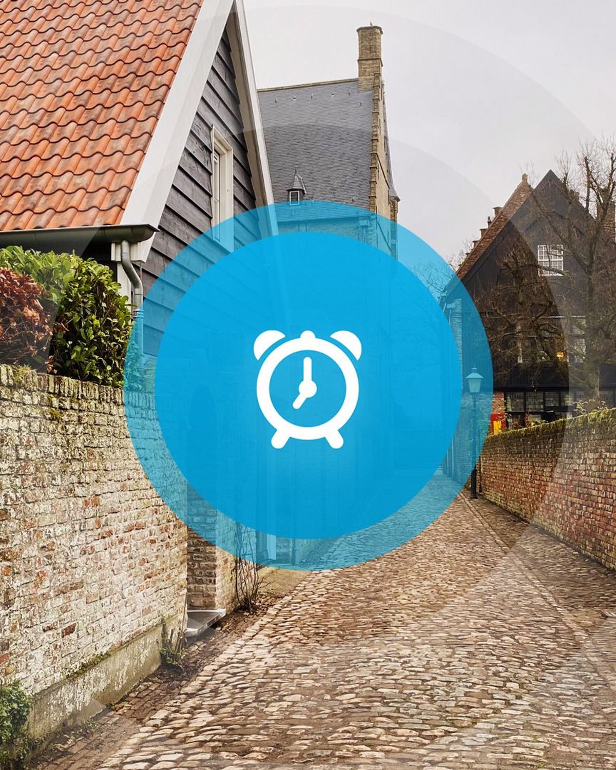 Goedemorgen! Knuffelen, BOOS en Zeeuws bordeel - Omroep Zeeland