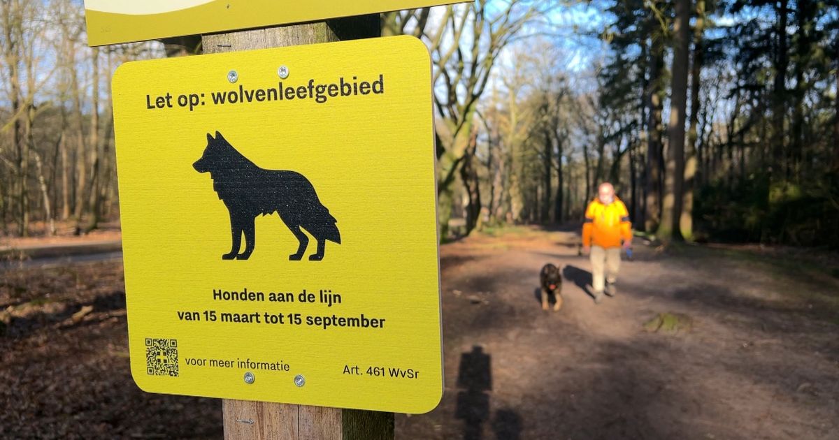 Hondenbaasjes onaangenaam verrast door aanlijnplicht in Austerlitz ...
