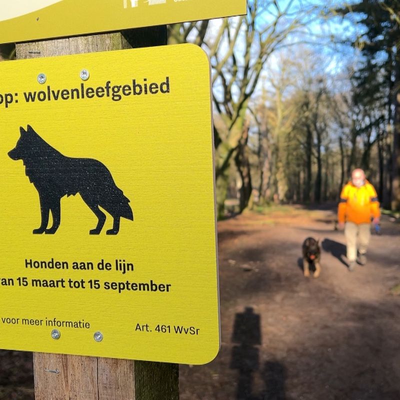 Hondenbaasjes onaangenaam verrast door aanlijnplicht in Austerlitz ...