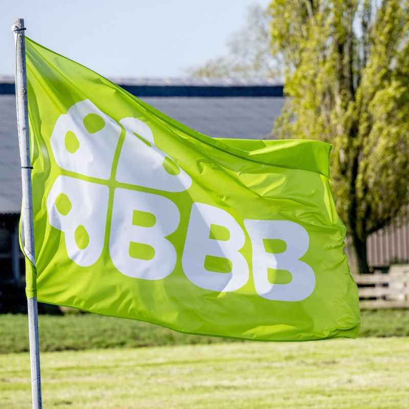 BBB niet langer grootste politieke partij van Zuid-Holland - Omroep West