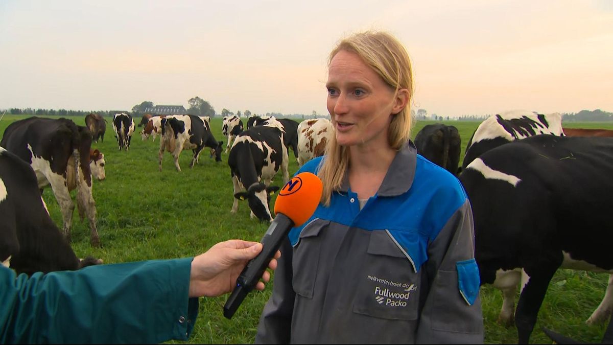 Boerin Agnes de Boer genomineerd voor beste graslandboer van Nederland ...