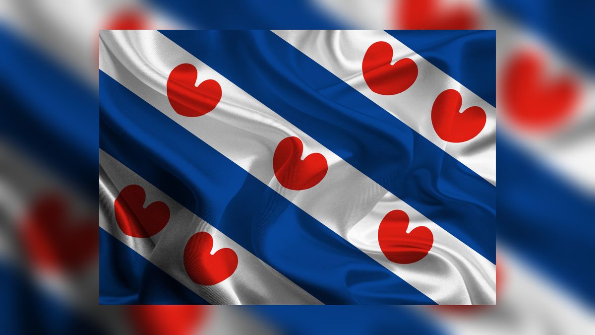 FSP: Friese taal van groot belang om echte Fries te zijn - Omrop Fryslân