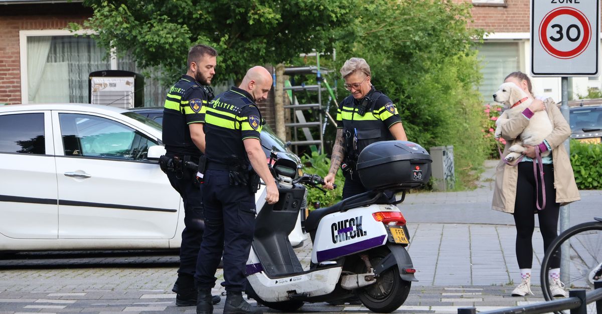 112-nieuws: Schaap legt verkeer lam | Meisjes vluchten na aanrijding ...