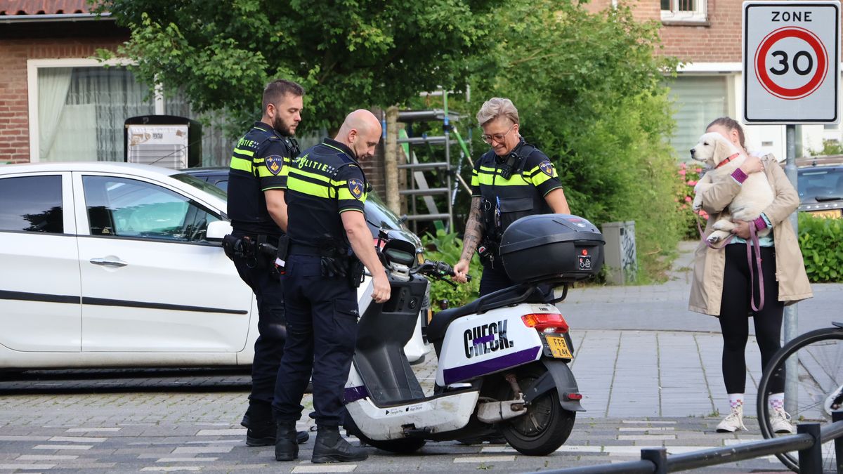 112-nieuws: Schaap legt verkeer lam | Meisjes vluchten na aanrijding ...