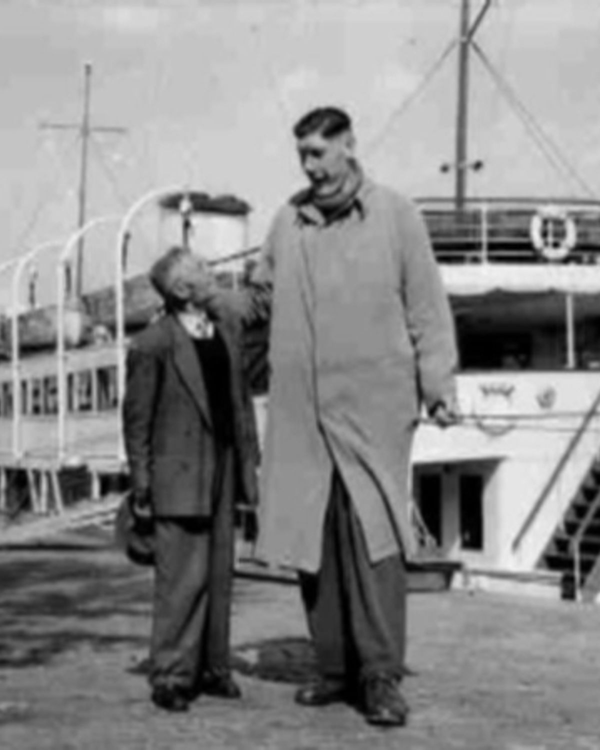 Onthulling standbeeld voor de Reus van Rotterdam - Rijnmond