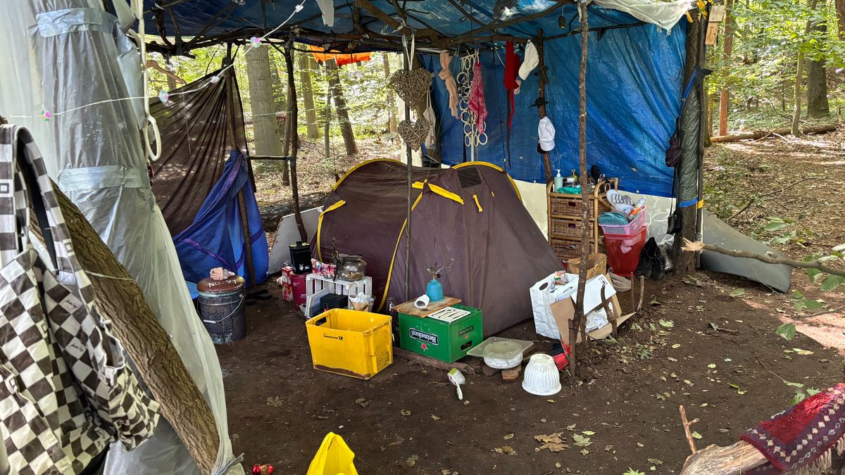 Dakloze arbeidsmigranten in bossen rond Venlo: 'Dit was niet onze droom ...