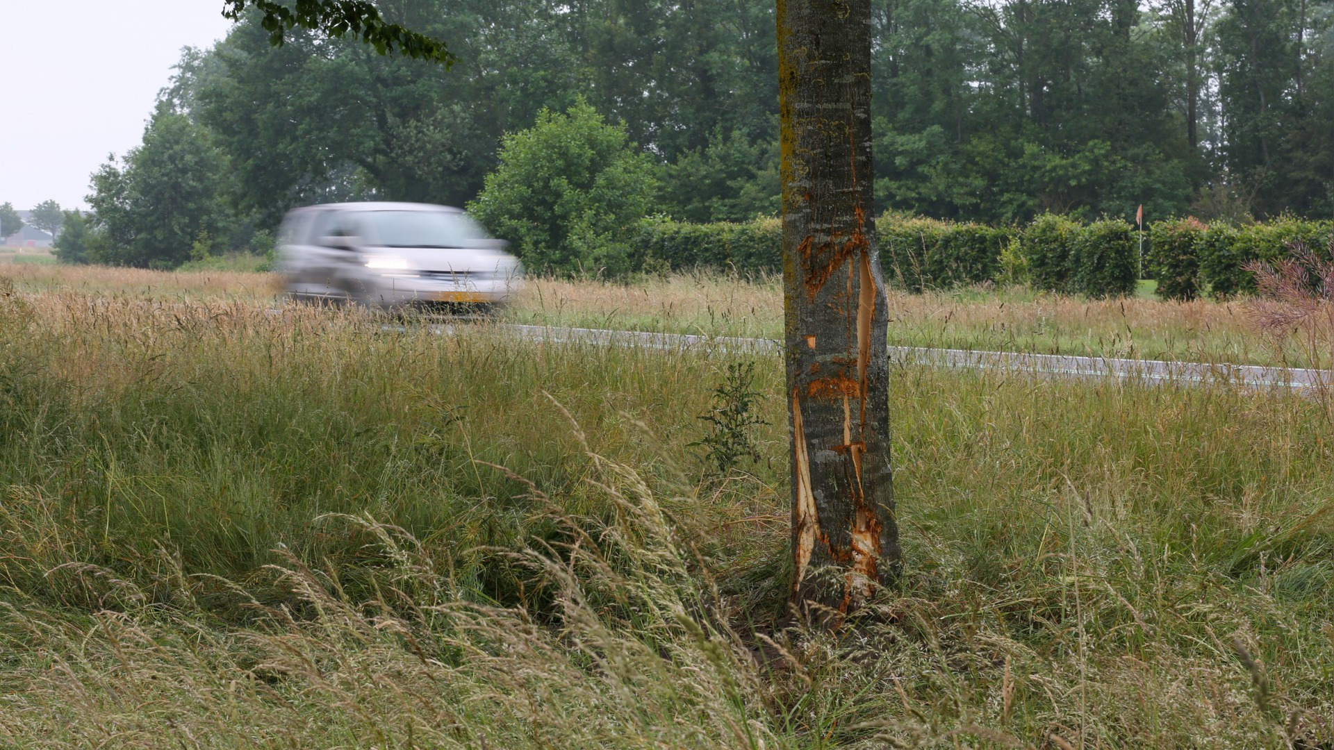UPDATE: Twee mannen (beiden 23) overleden na ongeluk op N359 bij Koudum ...